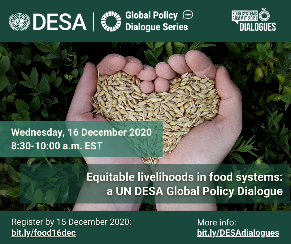 Advancing equitable livelihoods in food systems: a UN DESA Global Policy Dialogue - Food Systems ...
