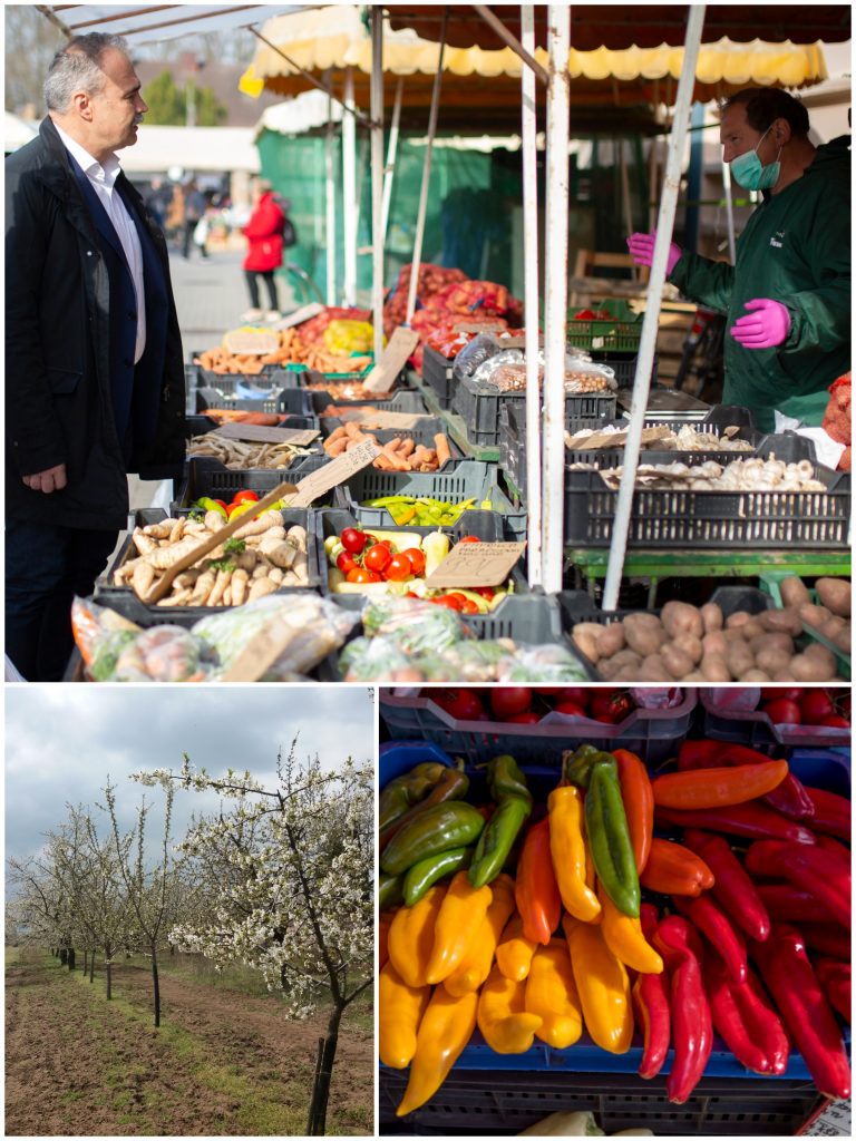 Dialogue on achieving sustainability in food production and food ...