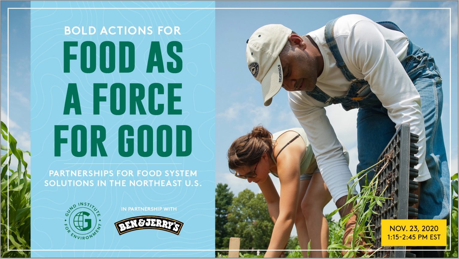 Explore Dialogues - Food Systems Summit Dialogues