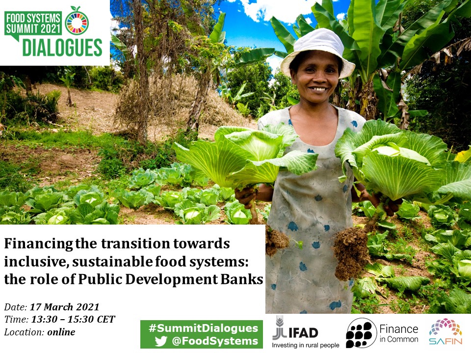 Financing the transition towards inclusive, sustainable food systems ...