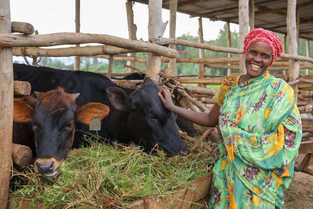 Toward Sustainable Food Systems in Rwanda: Advancing Equitable ...