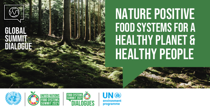 Sustainable Food Systems: Nature positive Food Systems for a Healthy ...
