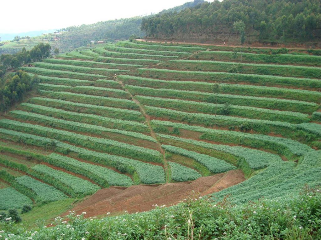 Toward Sustainable Food Systems: What game changing solutions to deal ...