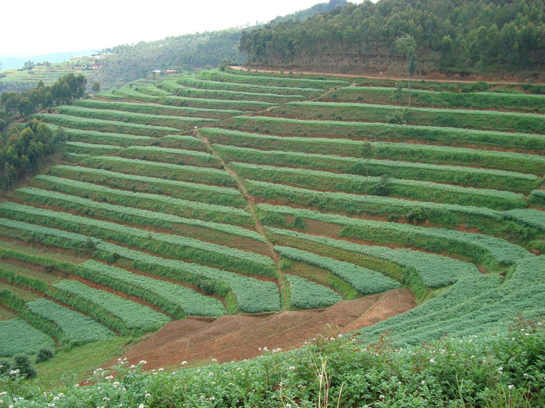 Toward Sustainable Food Systems: What game changing solutions to deal ...