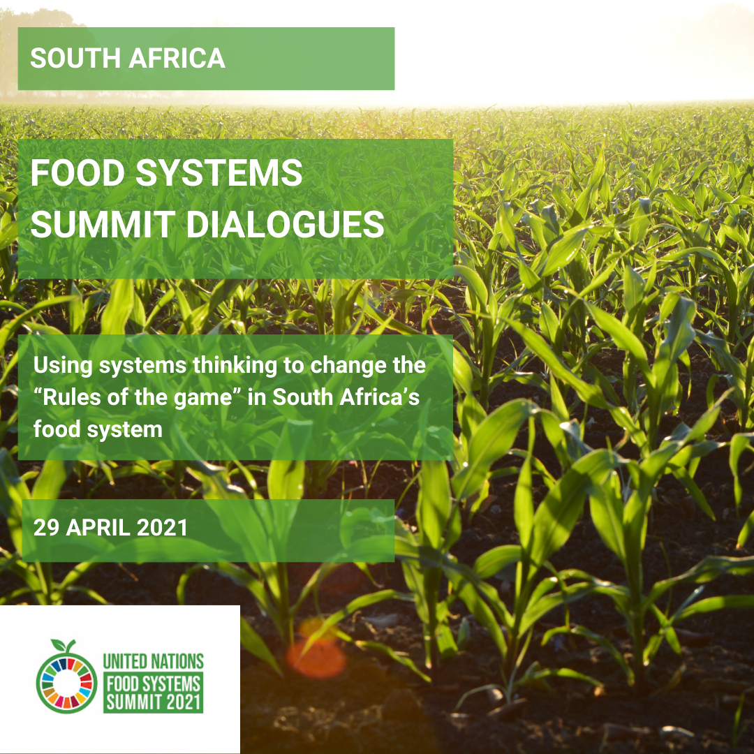 Using systems thinking to change the “Rules of the game” in South ...