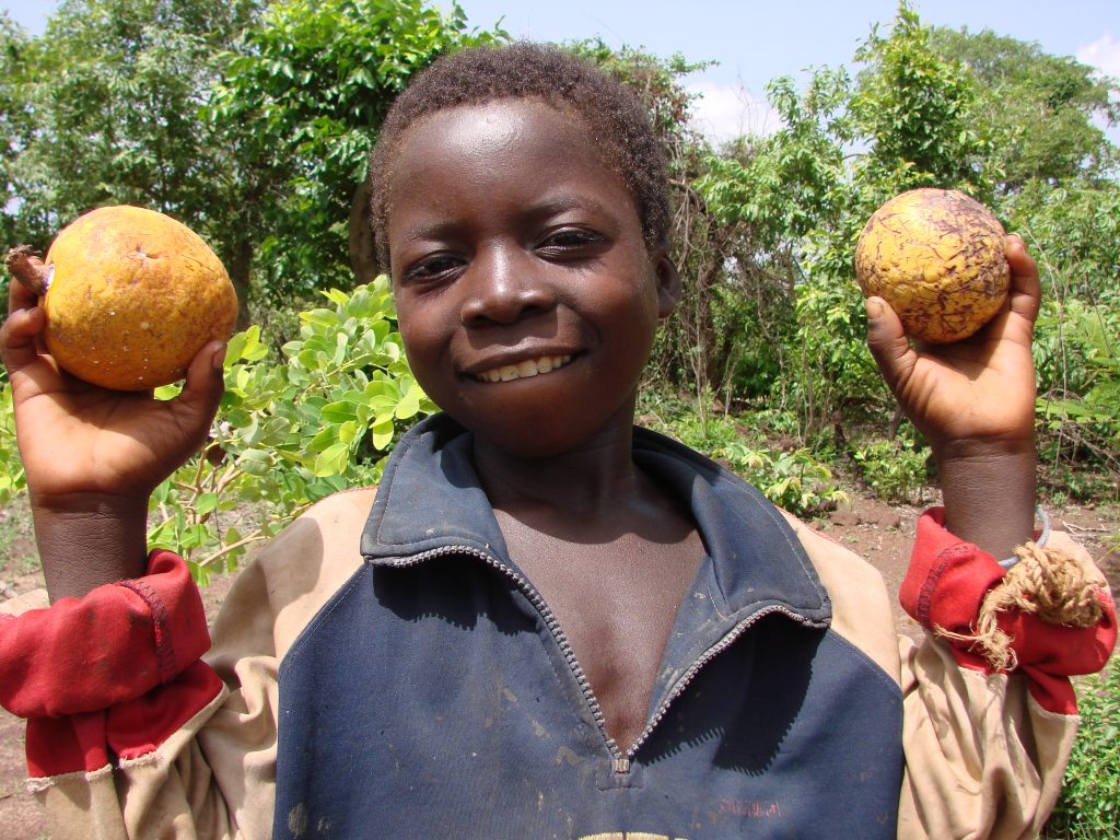 Traditional and Indigenous Foods for Food Systems Transformation in ...