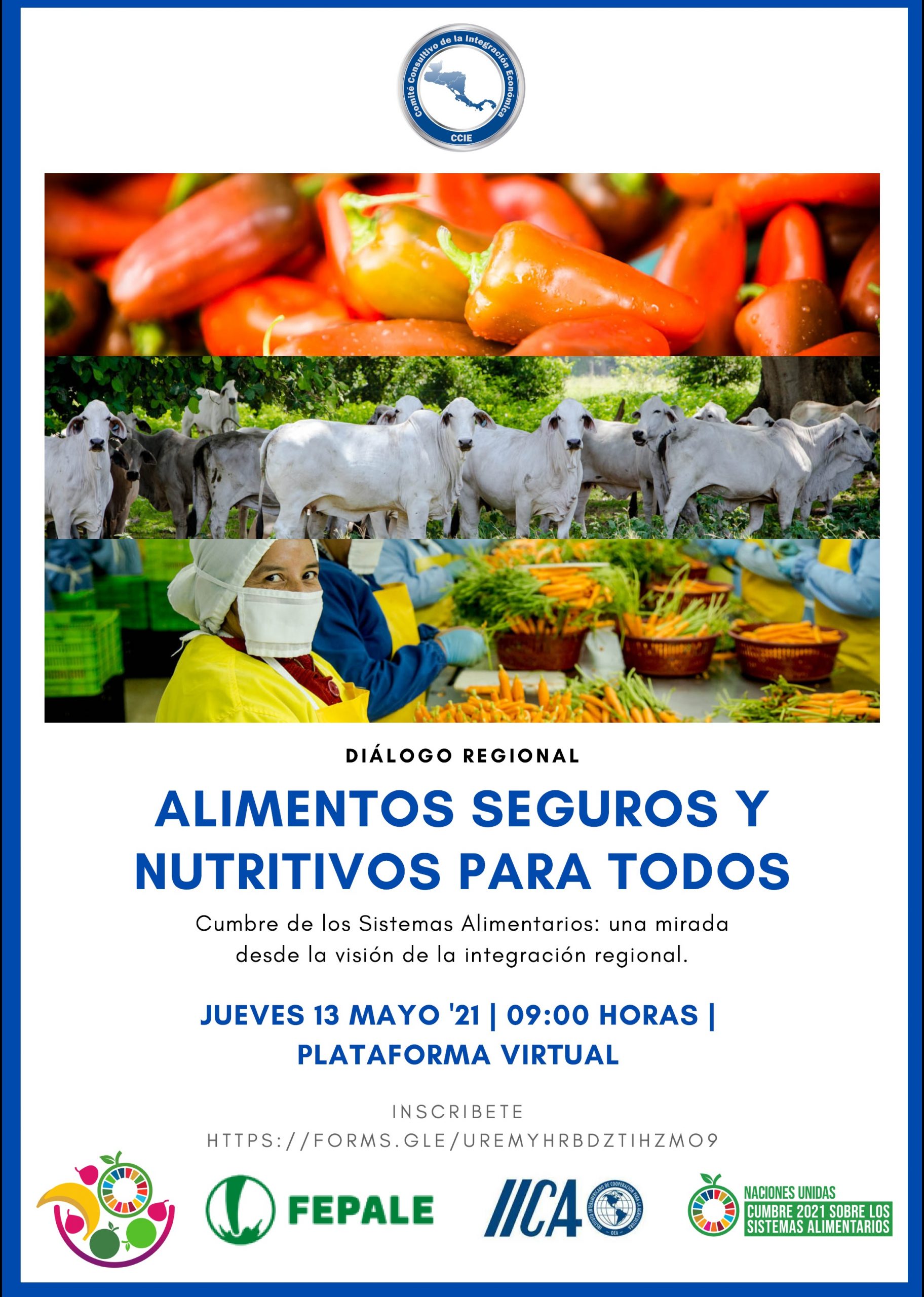 Alimentos Seguros y Nutritivos para Todos - Food Systems Summit Dialogues