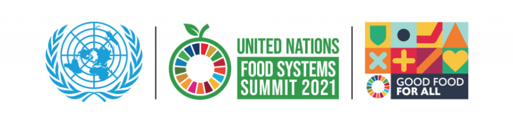 UN Food Systems Summit Global Youth Dialogue – Good Food For All - Food ...