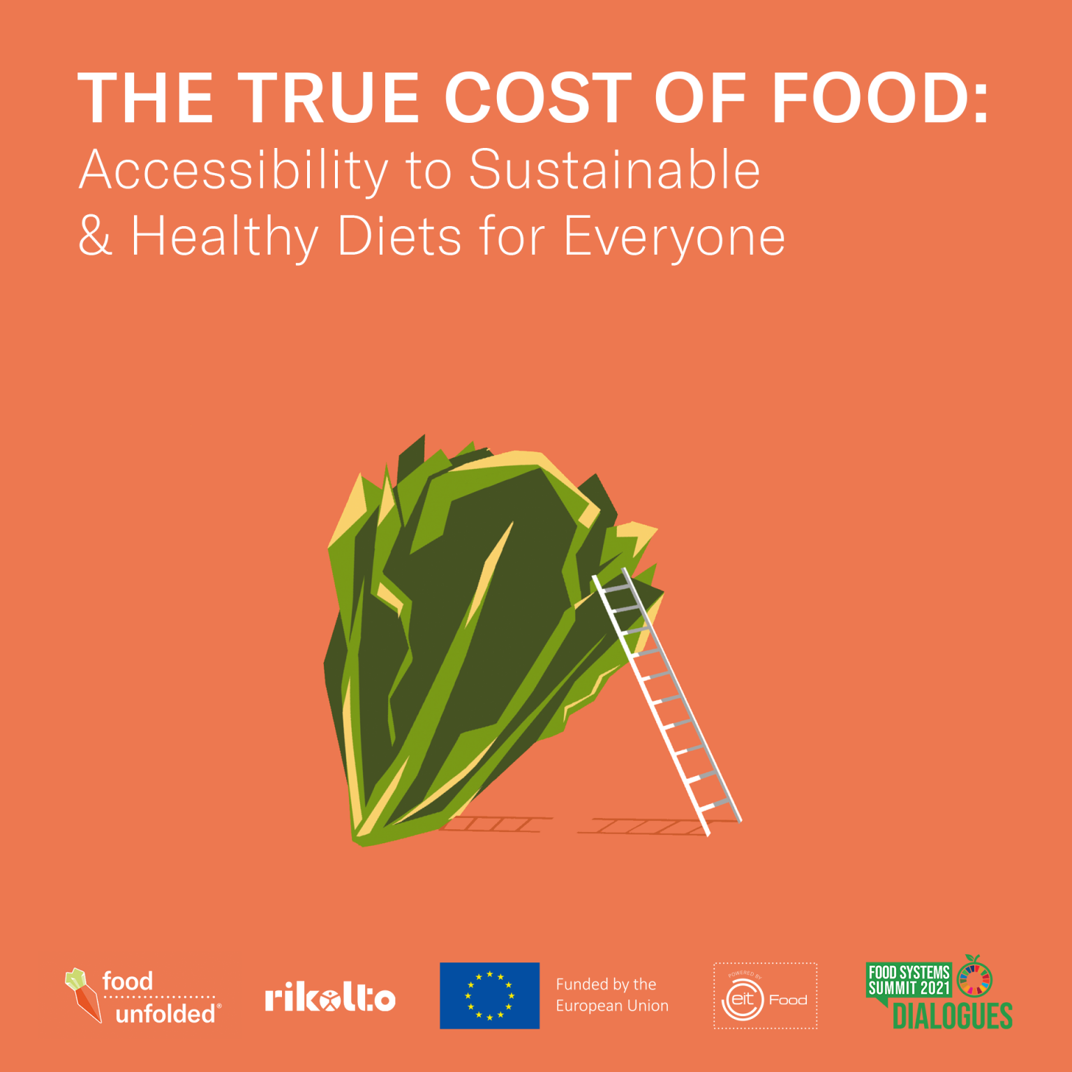 True Cost of Food - Accessibility to Sustainable & Healthy Diets for ...