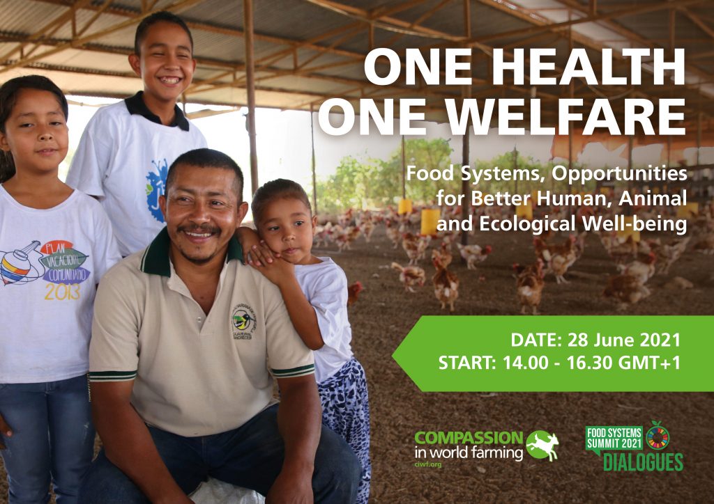 ONE HEALTH, ONE WELFARE: FOOD SYSTEMS OPPORTUNITIES FOR BETTER HUMAN ...