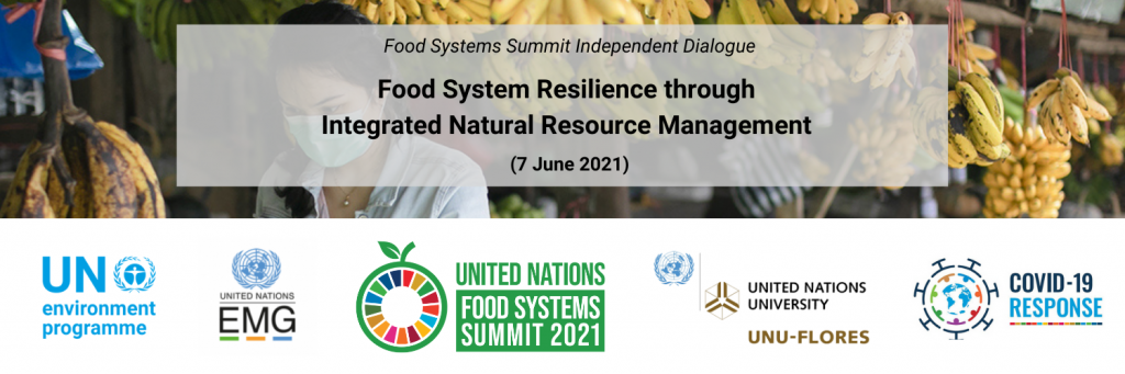 Food System Resilience through Integrated Natural Resource Management ...