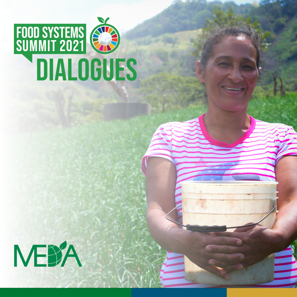 Can innovative financing advance livelihoods while building resilience ...