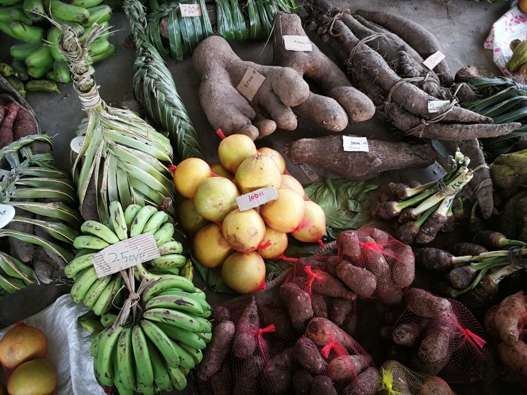 Vanuatu Gudfala Kaekae - Food Systems Summit Dialogues