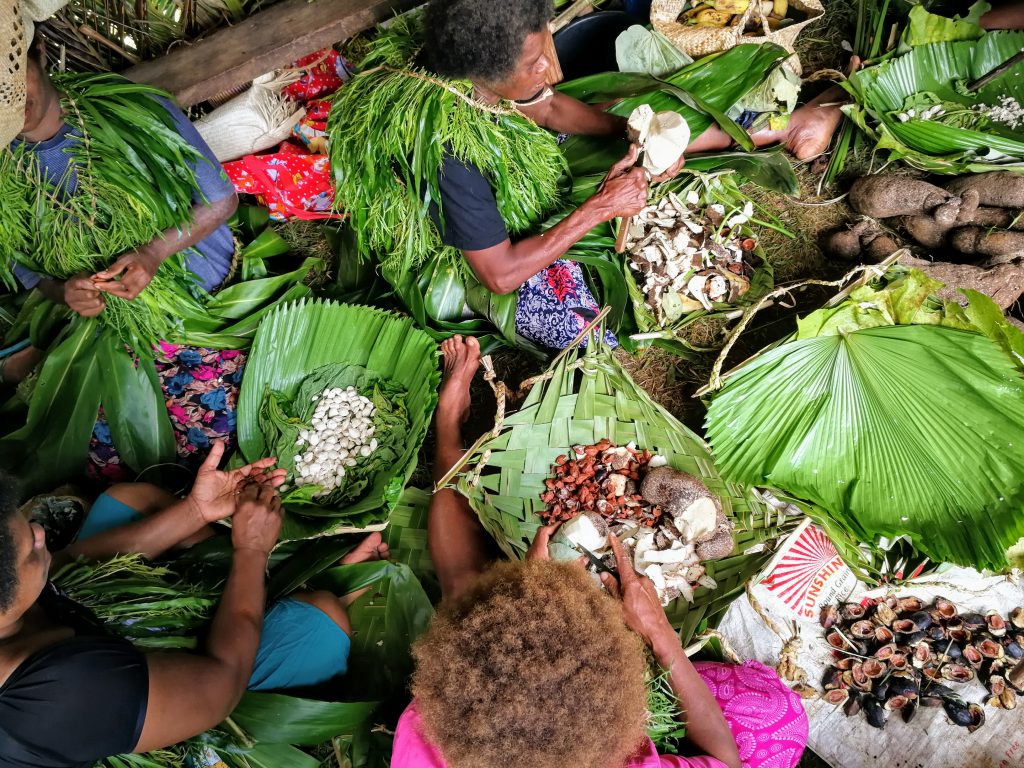 Vanuatu i Redi: Towards a healthy and sustainable food system for 2030 ...