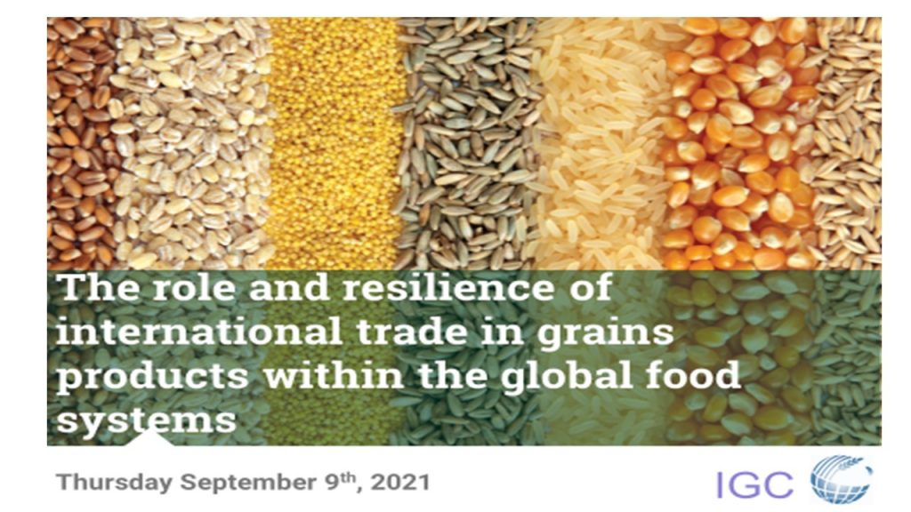 The role and resilience of international trade in grains and other ...