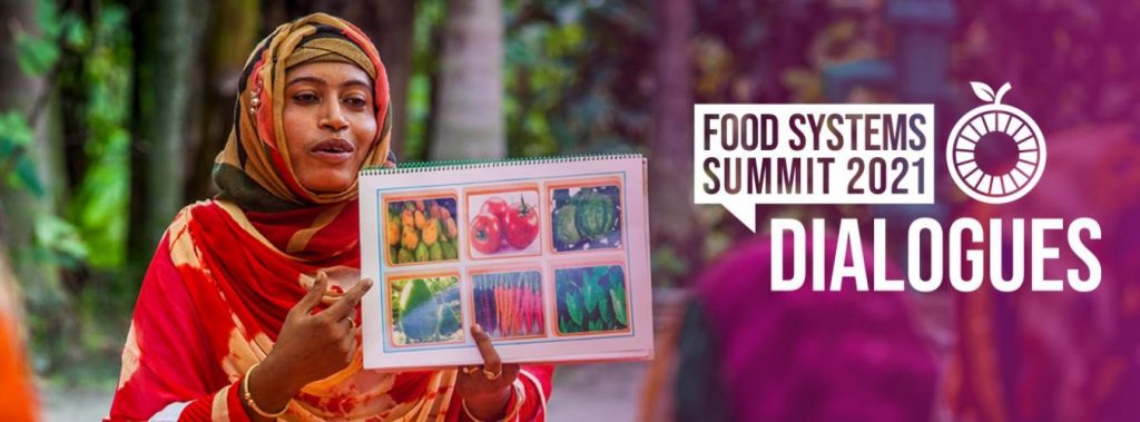 Sustainable cold chain and the Rome Declaration: delivering efficient ...