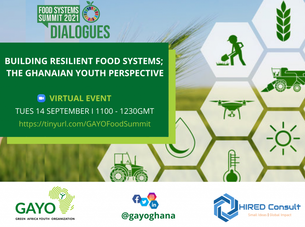 BUILDING RESILIENT FOOD SYSTEMS; THE GHANAIAN YOUTH PERSPECTIVE - Food ...