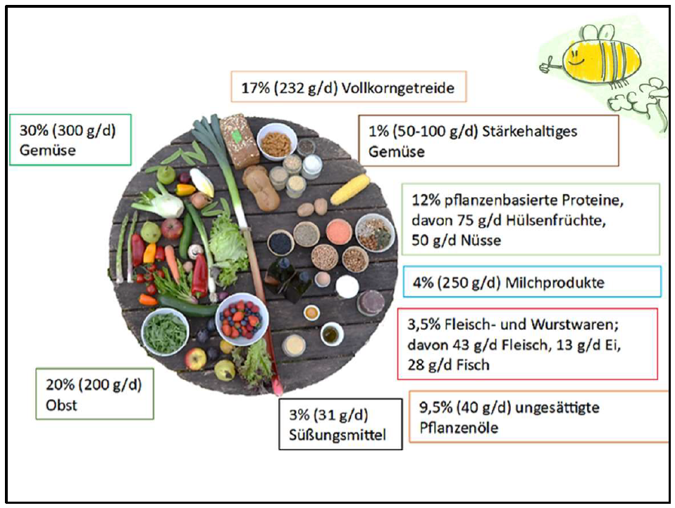Food policy in transition - from EU to municipal - who's cooking ...