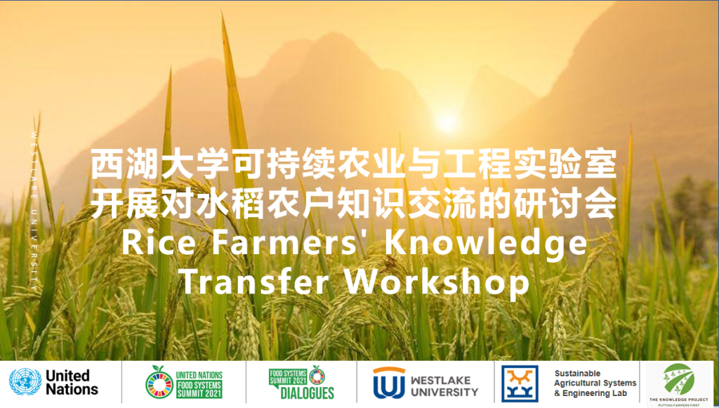 Empowering small-scale farmers in China - Food Systems Summit Dialogues